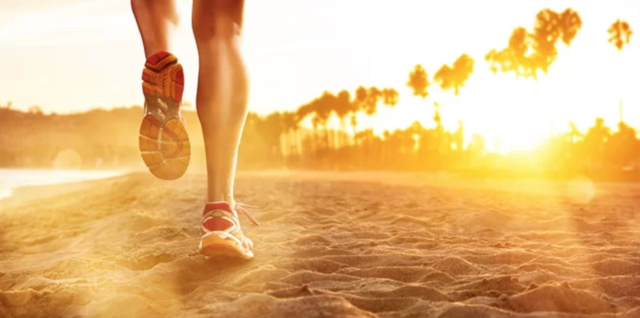 According to scientists human endurance is determined by the gut, not ...